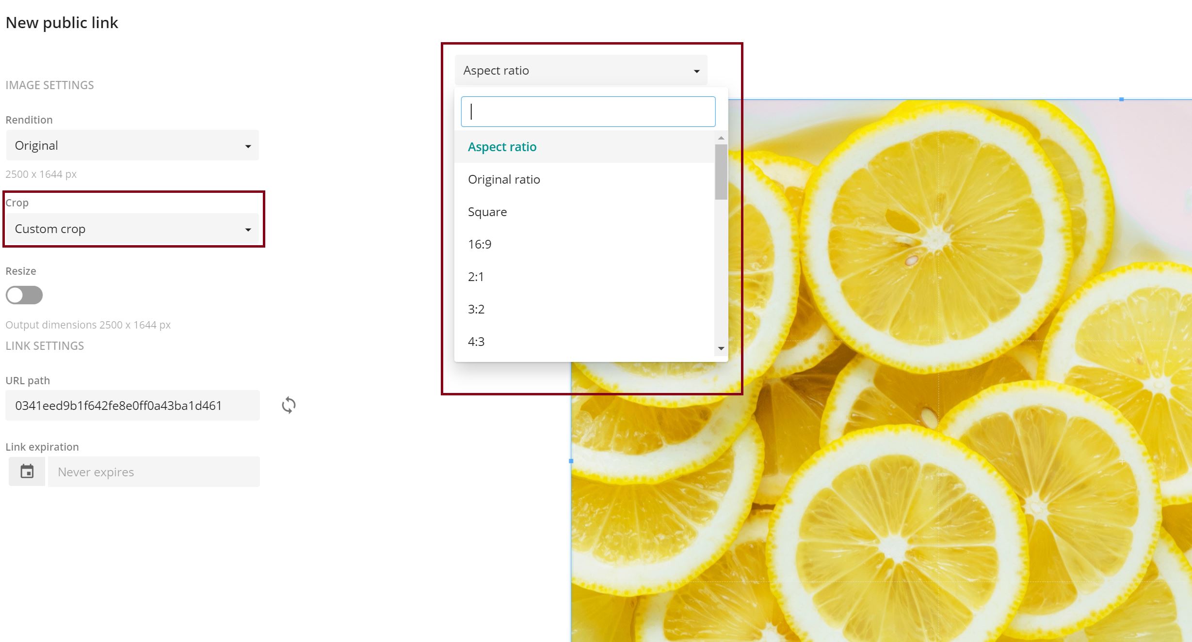 Content Hub: How to set custom image-ratio options for cropping | Anna ...